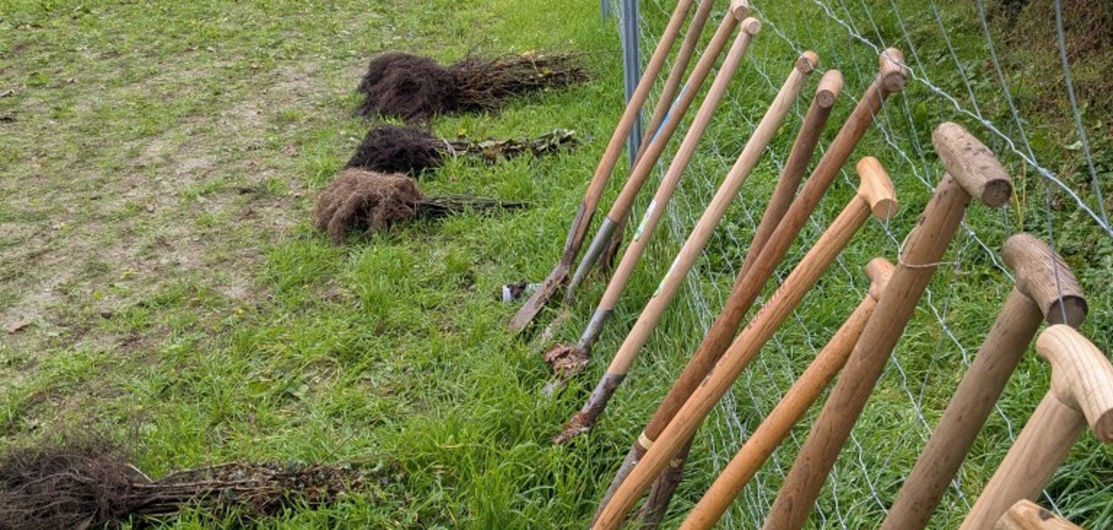 Wir pflanzen einen Tiny Forest im Dorf Greste | Gemeindeverwaltung ...